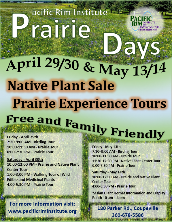 Prairie Days at Pacific Rim Institute – Coupeville Chamber